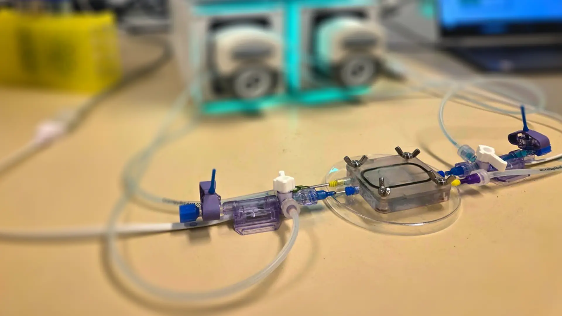 A4BEE | Delivering Meaningful Innovation | Perfusion chamber for ...